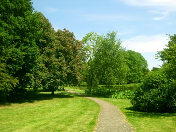 Rotterdam investeert in twintig hectare extra groen