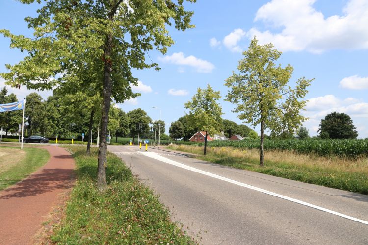 Graskruiden in de berm voor verbeterde biodiversiteit