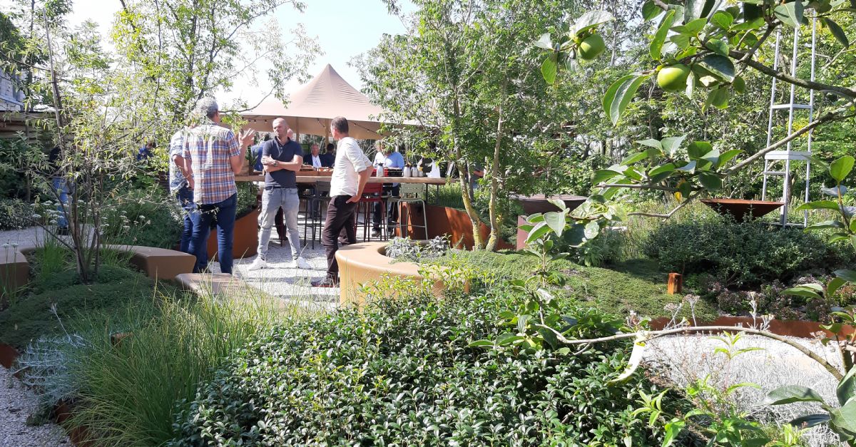 'Voor vergroeningspotentie moeten we daken gaan zien als hoger gelegen ...