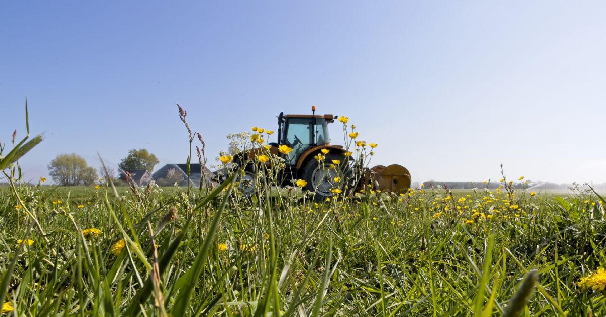'Openbaar groen en landbouw kunnen elkaar versterken'