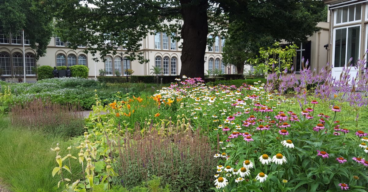 Eerste groenbedrijf met trede vier op Veiligheidsladder komt naar ...