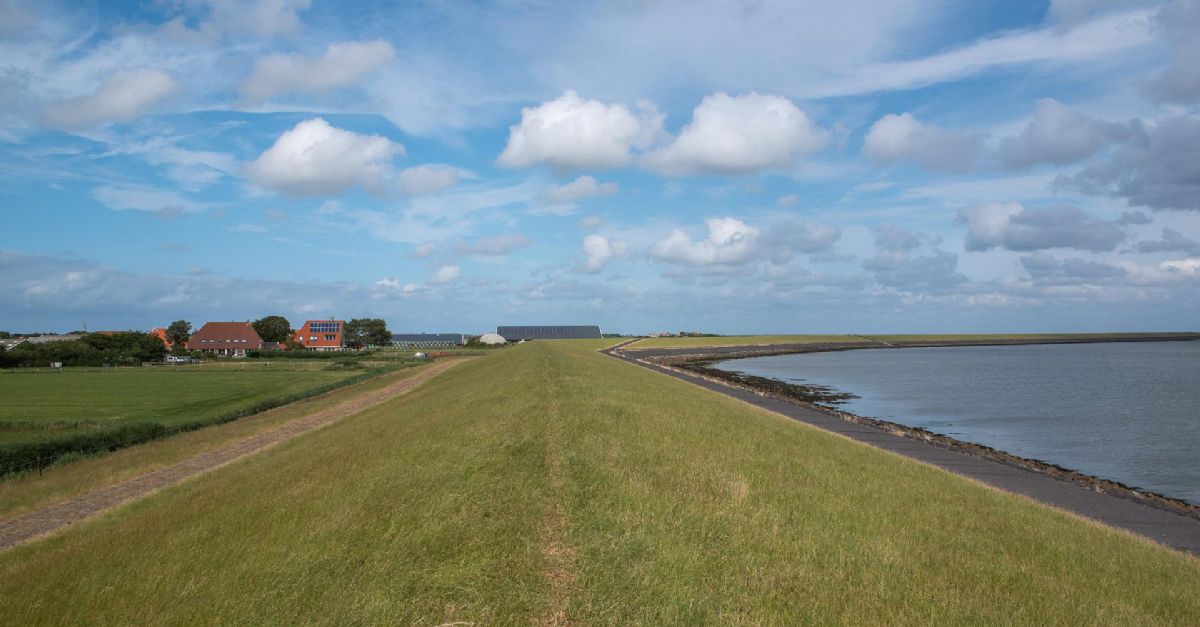 Weersextremen vragen ook meer aandacht voor grasmengselkeuze dijken