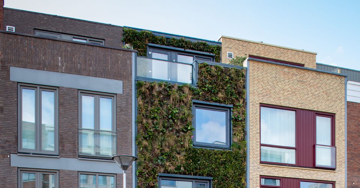 VHG benadrukt: dak- en gevelgroen must voor koelere steden