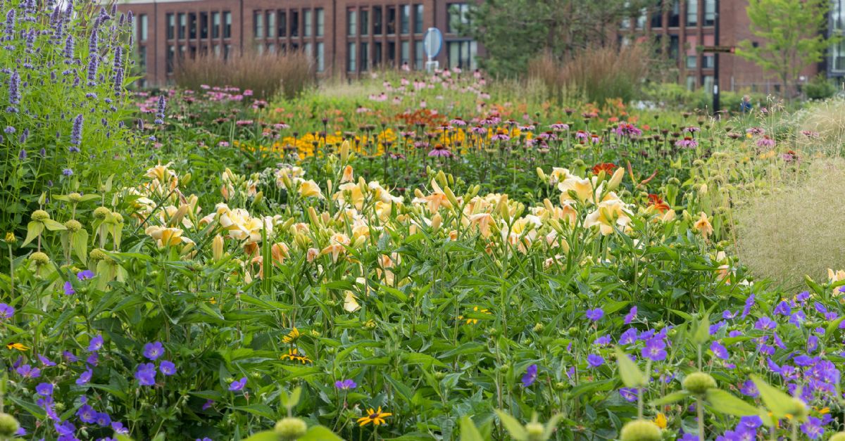 Groenmakers sluiten zich aan bij partnernetwerk Greentocolour