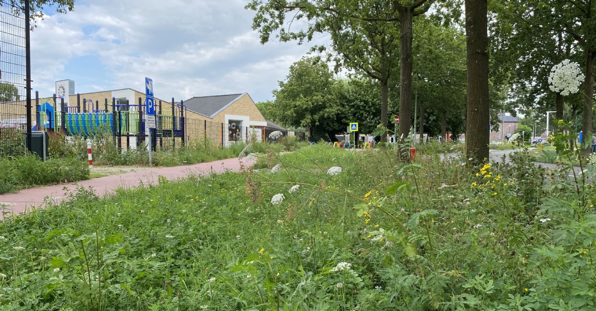 Advanta Seeds - voor diversiteit in het openbaar groen