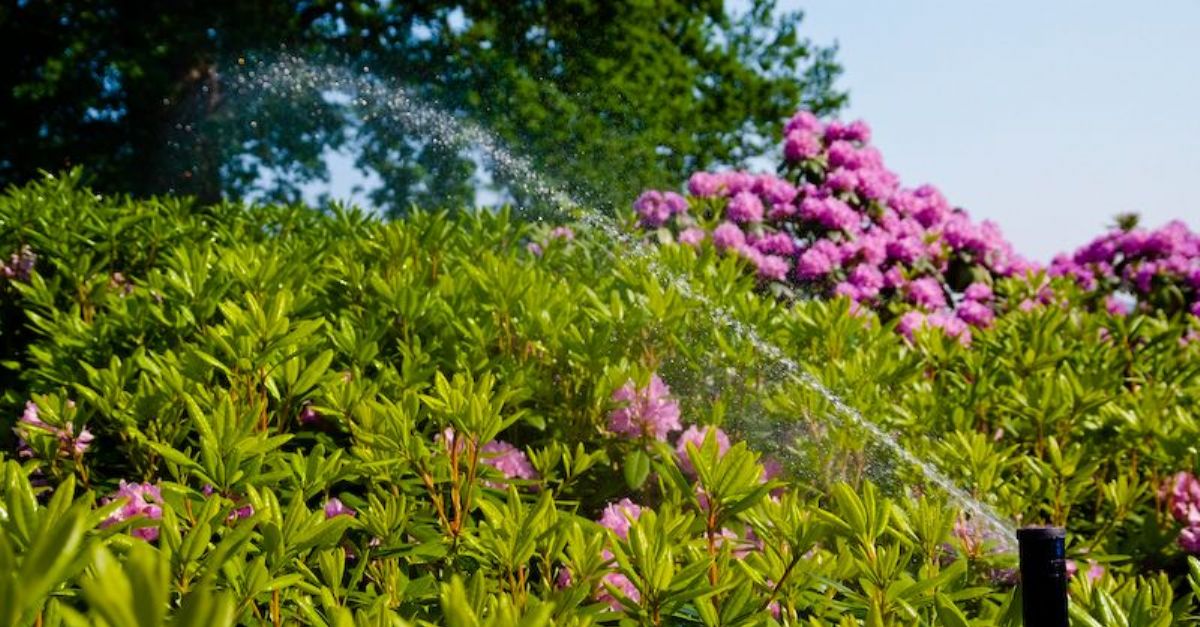 Aquaco, automatische beregening met de nieuwste opties