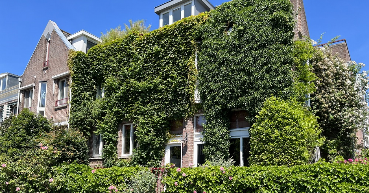 idverde NL en Van der Starre klimmen samen in het gevelgroen