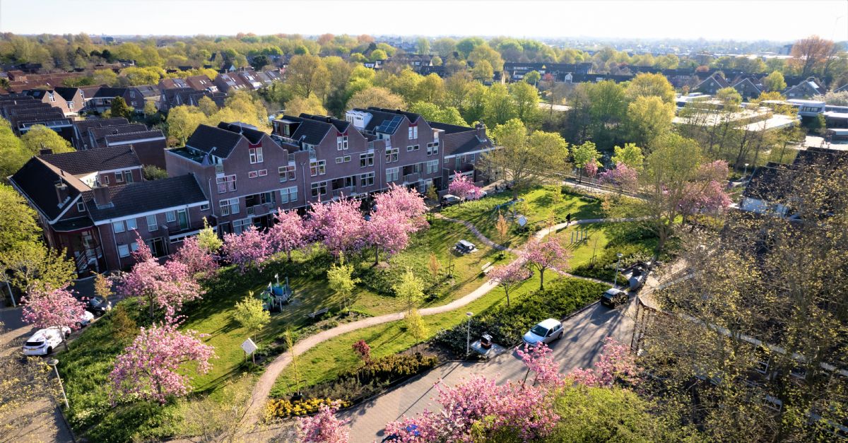 Het Nieuwe Groen: landelijke kennisdag over toekomstbestendige openbare ...