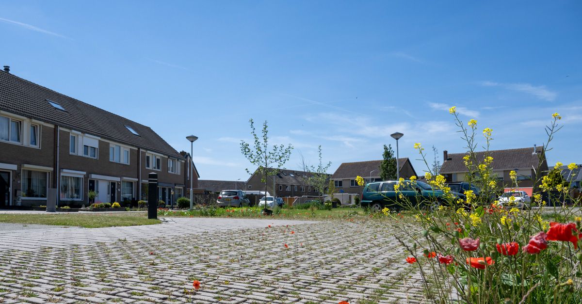 MBI De Steenmeesters brengt alle klimaatadaptieve ...