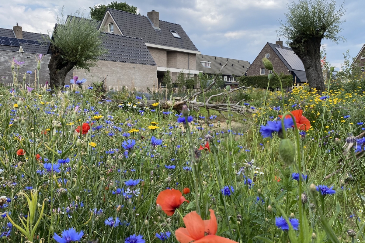 Vul je duurzaamheidsdoelen in met Het Nieuwe Groen