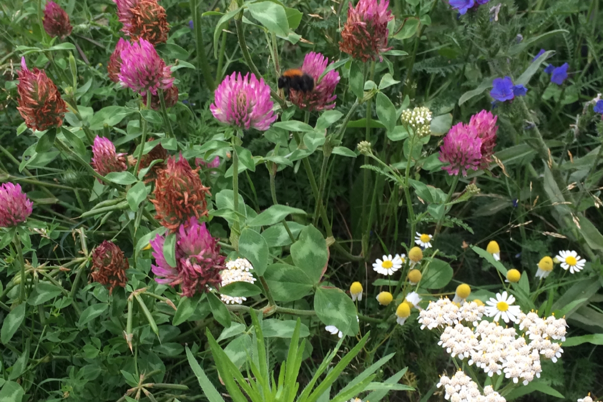 Toolbox Basiskwaliteit Natuur gelanceerd