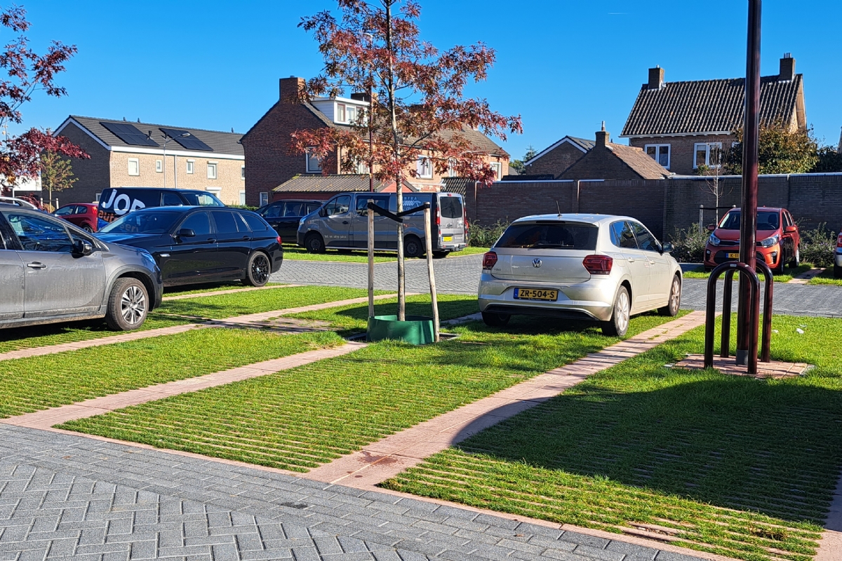 Verstening tegengaan met tegels: Nederlandse parkeerplek kleurt steeds ...