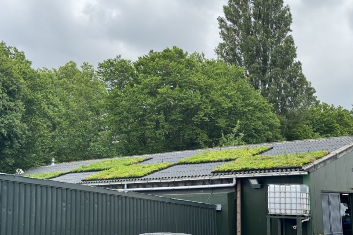 Eerste groendak systeem geïnstalleerd op Sportpark Middenmeer Amsterdam