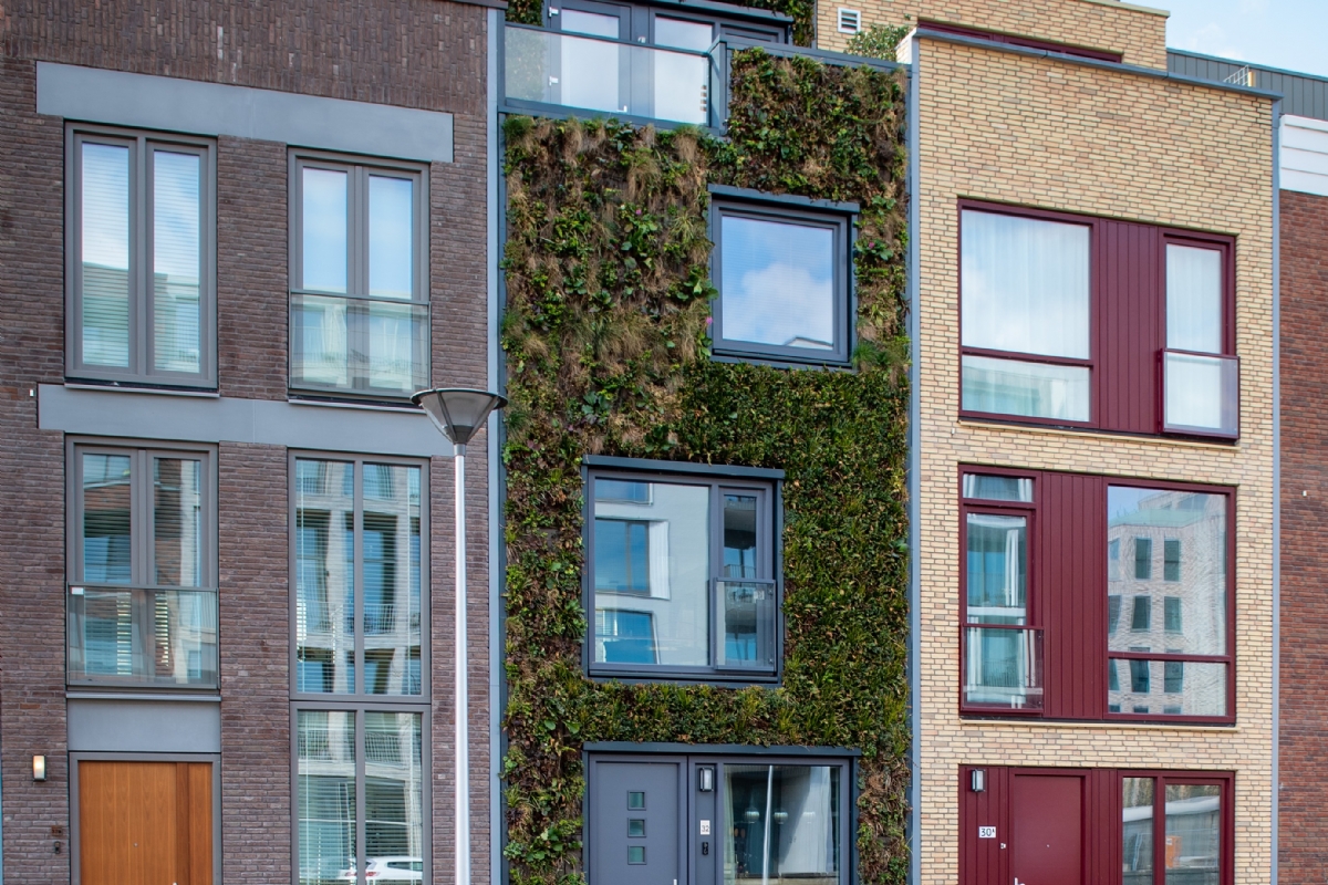 Onderzoek: groene gevels koelen gebouwen en bevorderen biodiversiteit