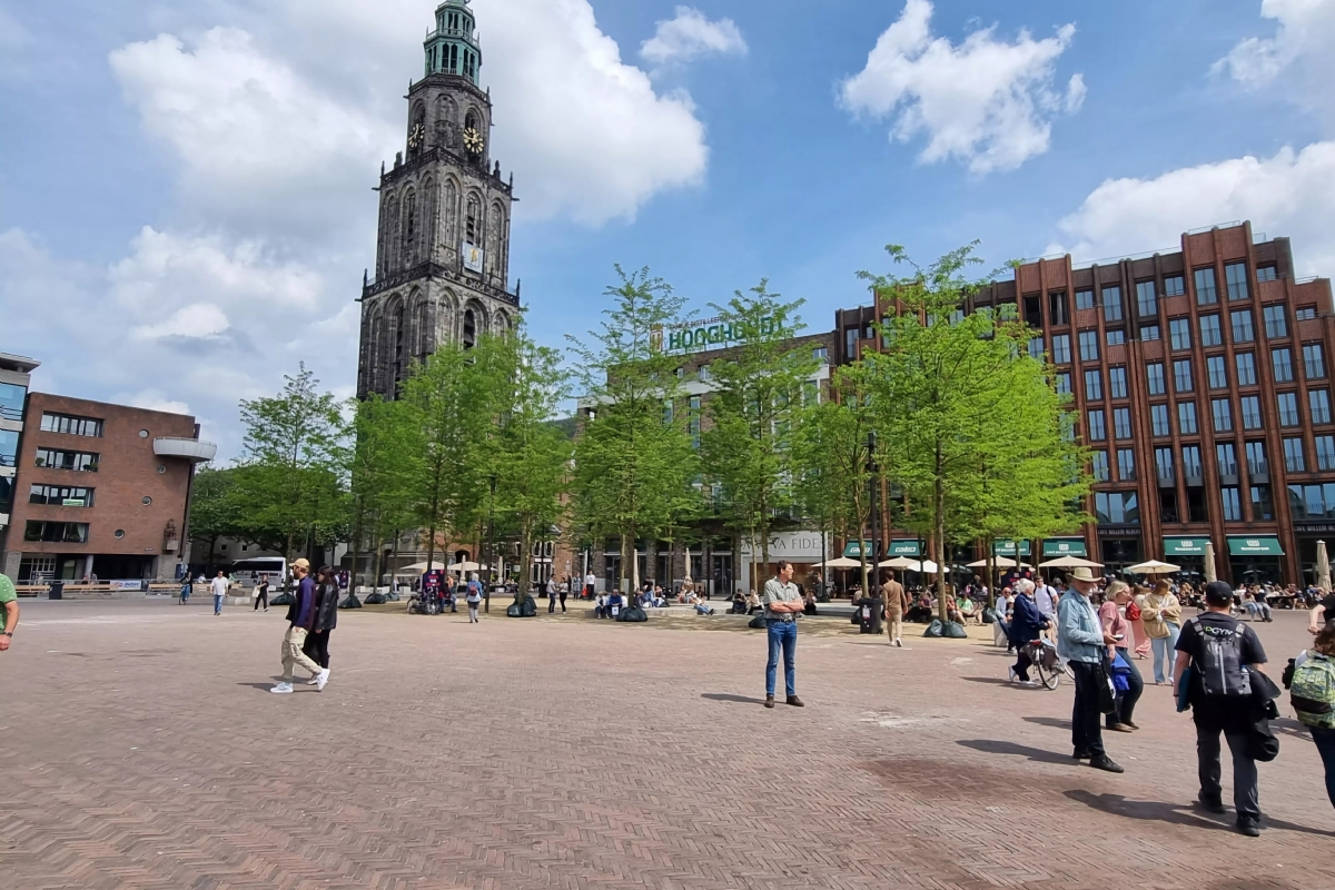 Grote bomen voor de Grote Markt