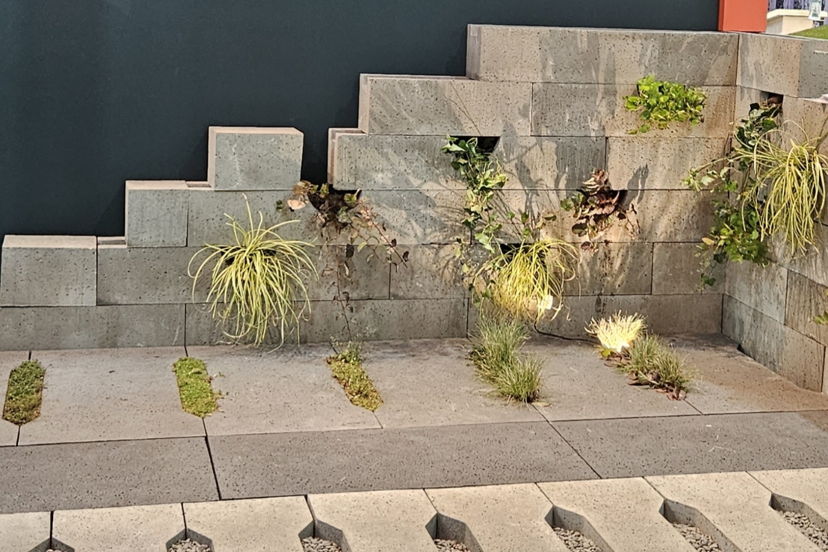 Schellevis lanceert twee nieuwe producten: groenwand en ...