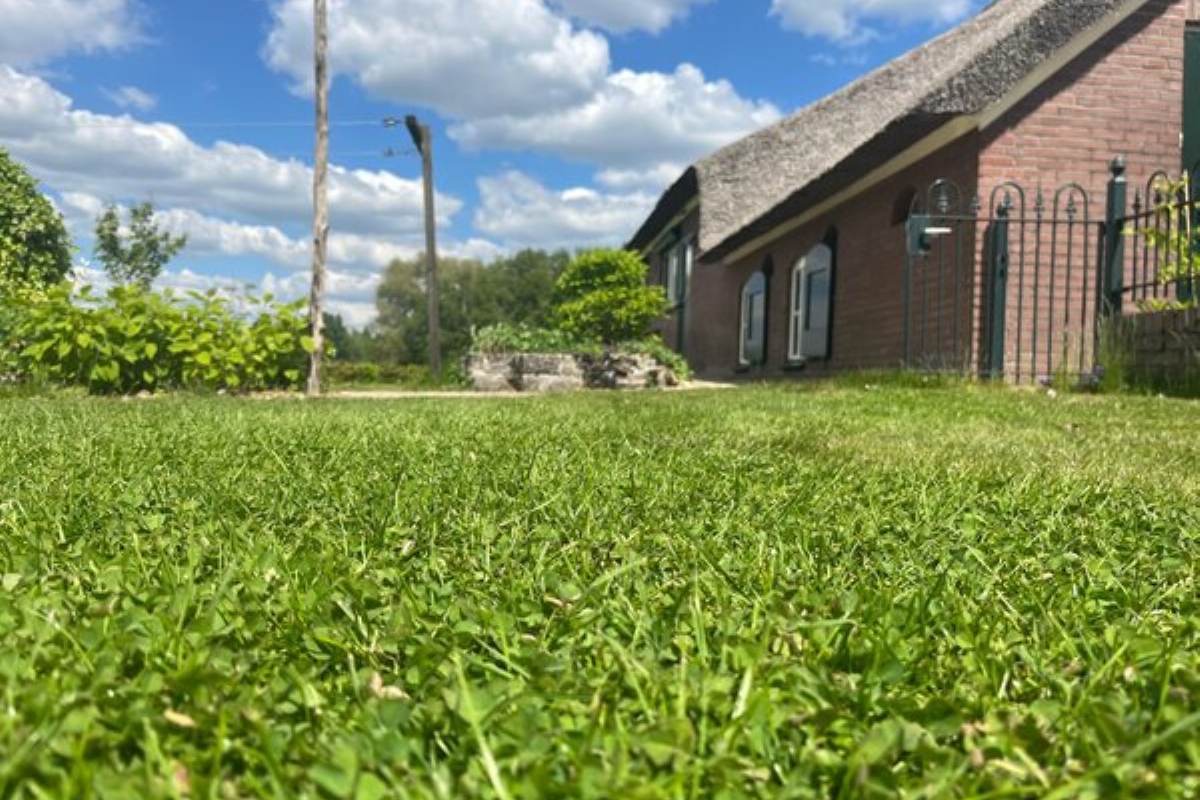 DSV introduceert ClimateSmart-label voor weerbaar en biodivers groenbeheer